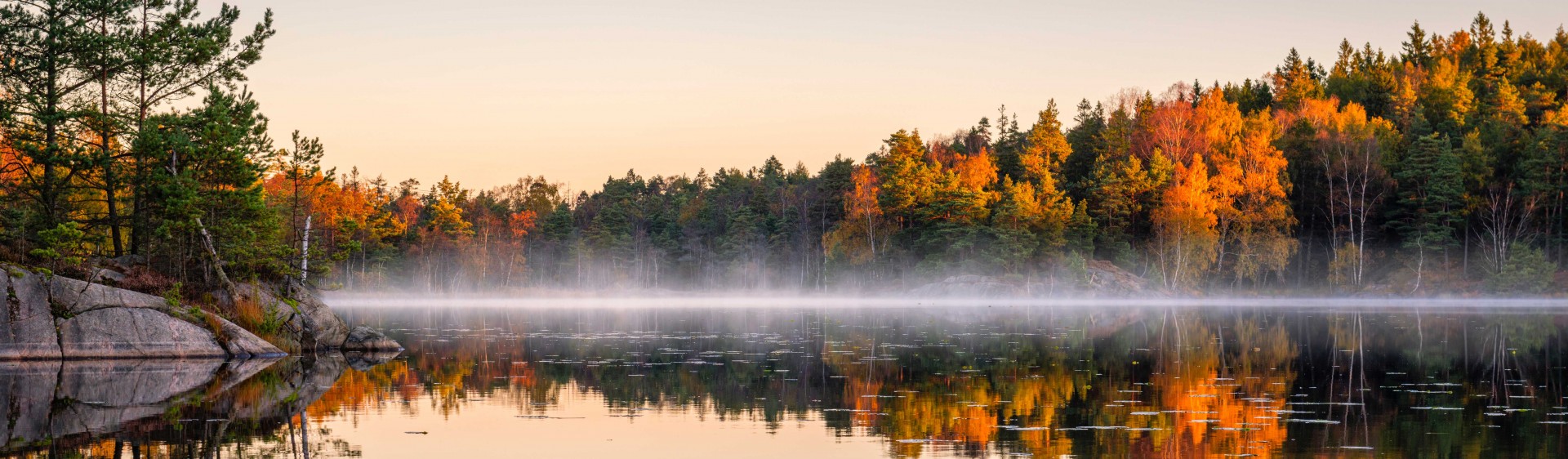 Jeremy J. Wood, MD - Busack Eye Center