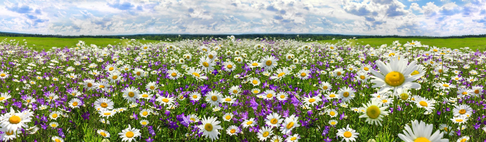 A Message from Dr. B - Busack Eye Center